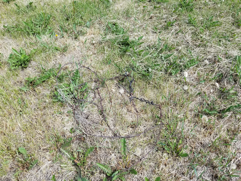 Making a quick rope gate | The Re-Farmer