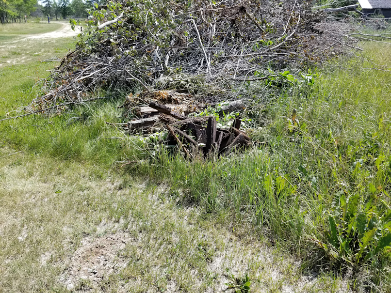 Clean up: old wood pile, progress | The Re-Farmer
