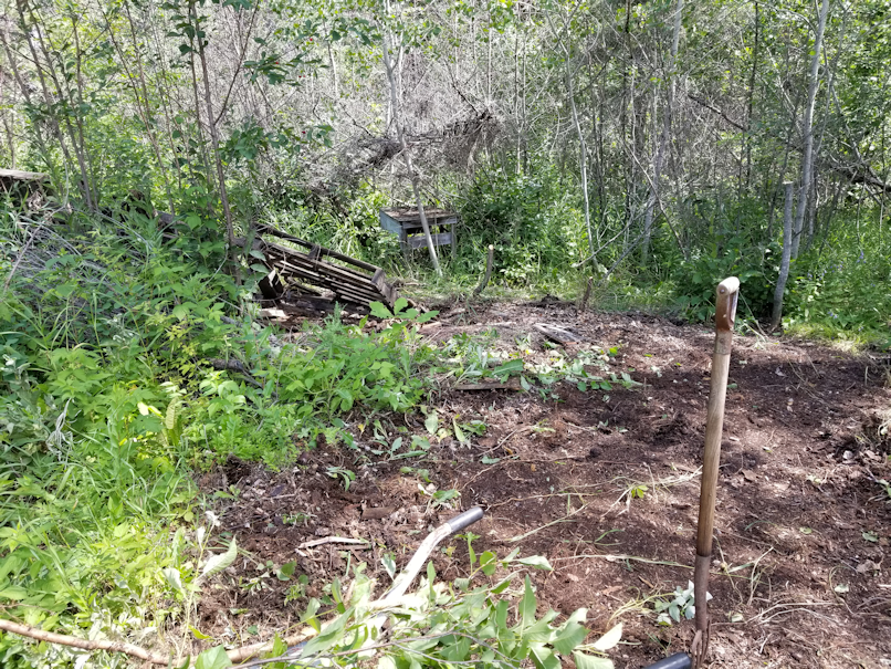 Clean up: old wood pile, progress | The Re-Farmer