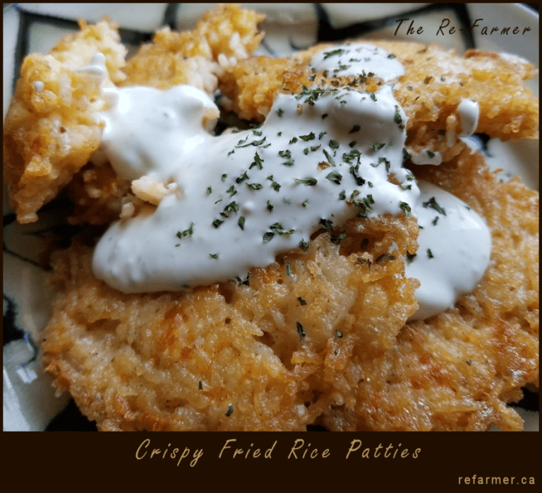 Crispy rice patties | The Re-Farmer