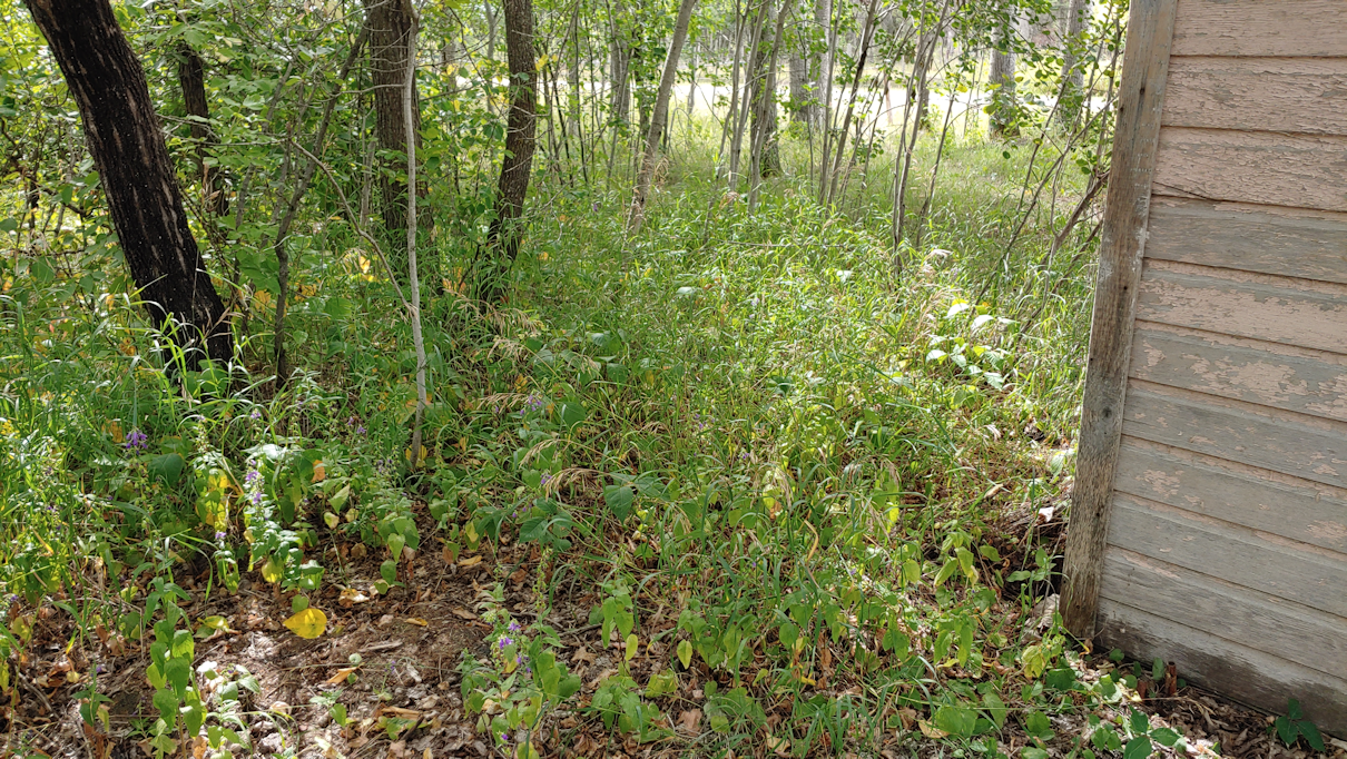 Clean up: around the outhouse and moving the debris pile | The Re-Farmer