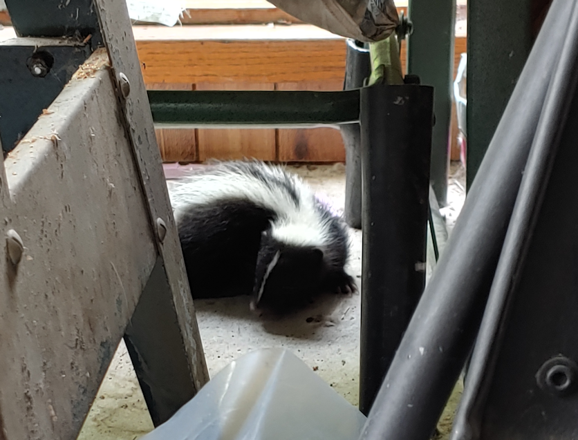 A good morning! | The Re-Farmer