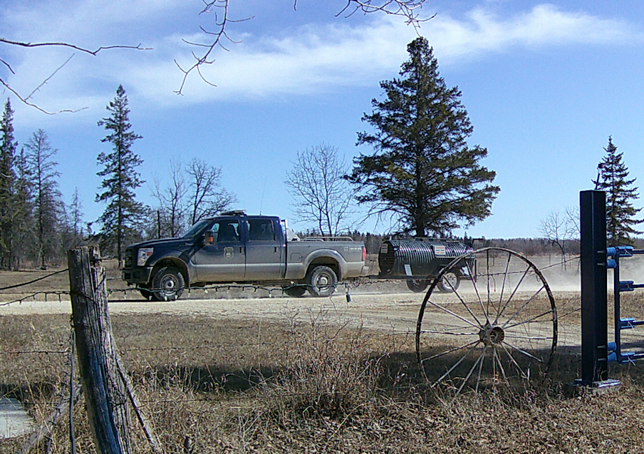Trail cam surprises | The Re-Farmer