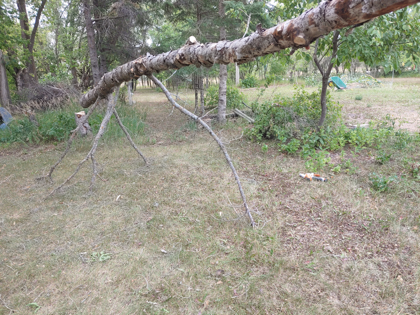 First tree stump bench made! | The Re-Farmer