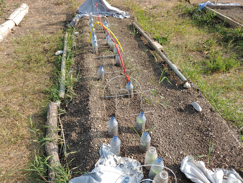 Row Covers For Raised Beds