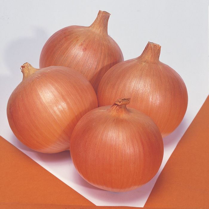 Our 2024 garden: first seed order in! Veseys | The Re-Farmer