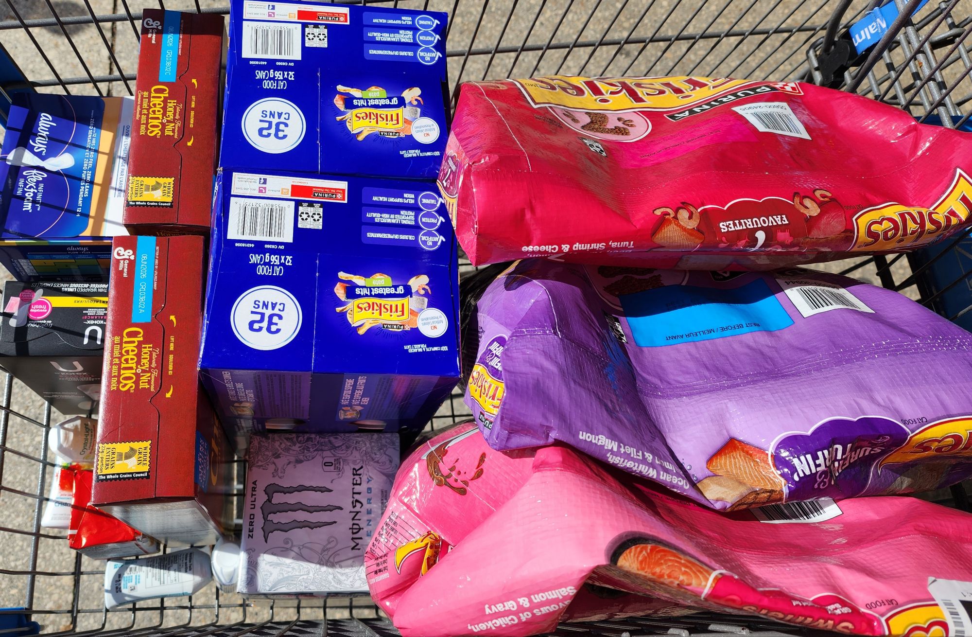 First monthly stock up shop: this is what $448 looks like | The Re-Farmer